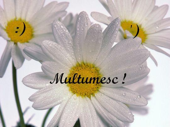 multumesc – CrestinTotal.ro